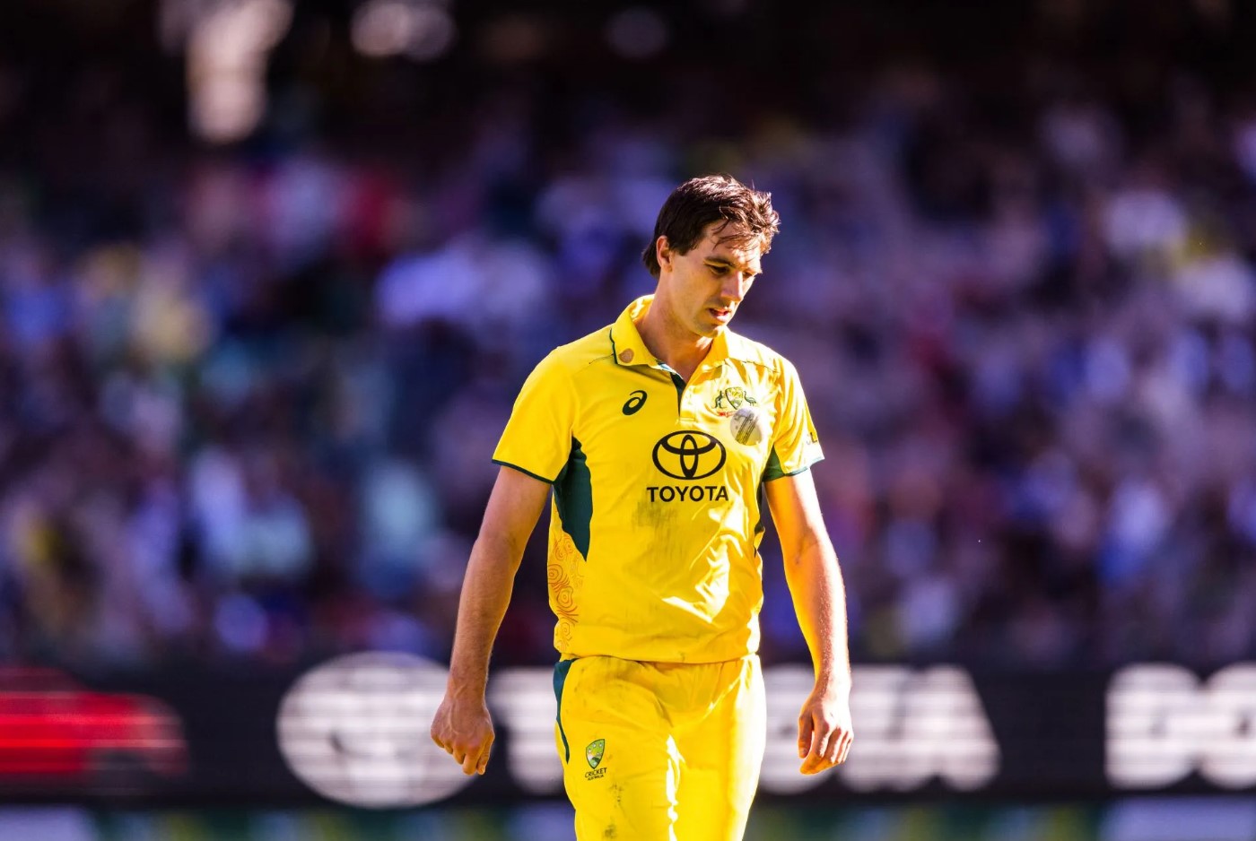 Pat Cummins Announced His Return, A Big Update Came Out During The ...